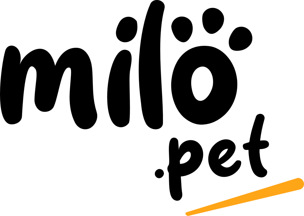 Lizanie u psów: Co kryje się za tym powszechnym zachowaniem? - Milo.pet